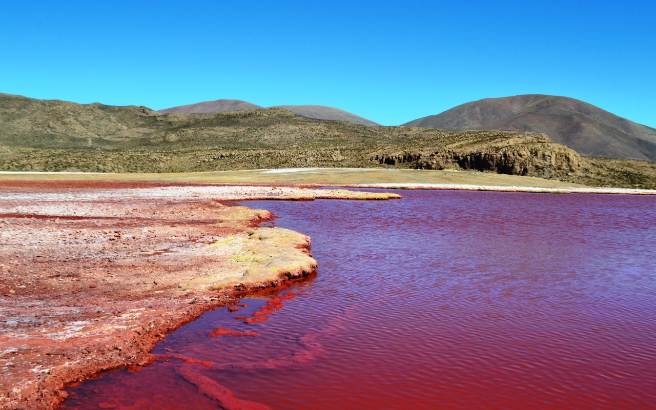 Tour a Laguna Roja - Los mejores tours y experiencias en Chile