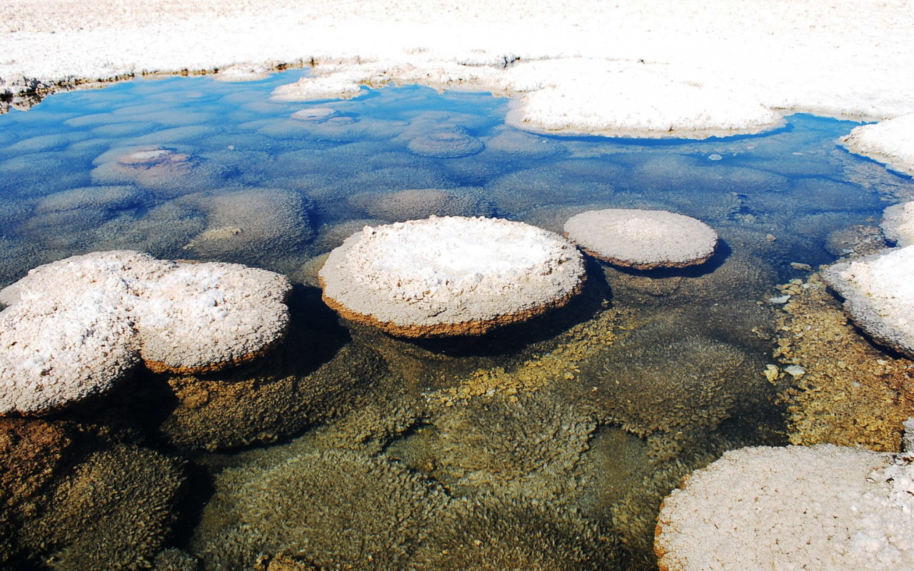 Tour al salar de Llamara, la ex salitrera Victoria y la ruta de la Sal ...