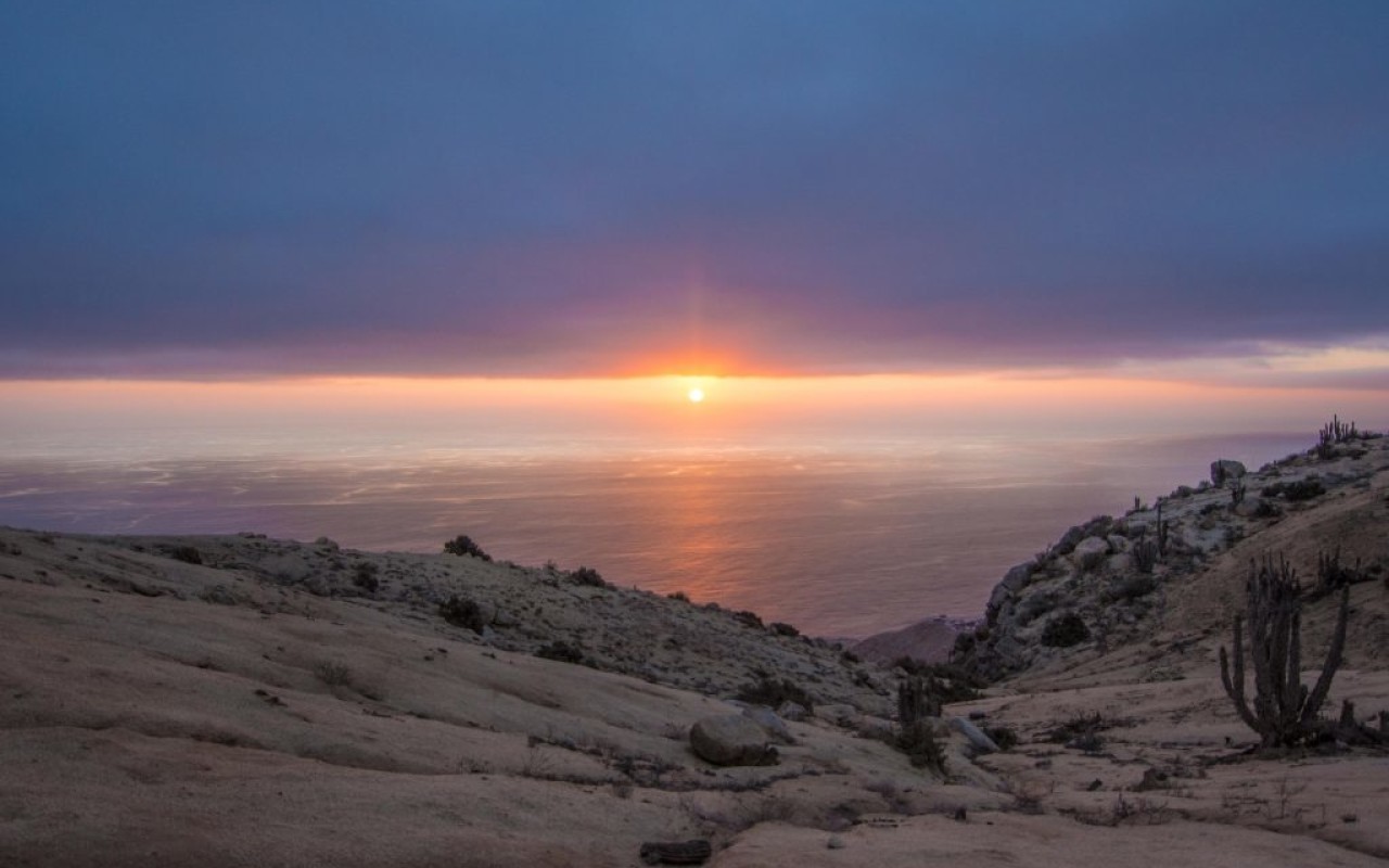 Parque Nacional Pan de Azúcar - Los mejores tours y experiencias en Chile