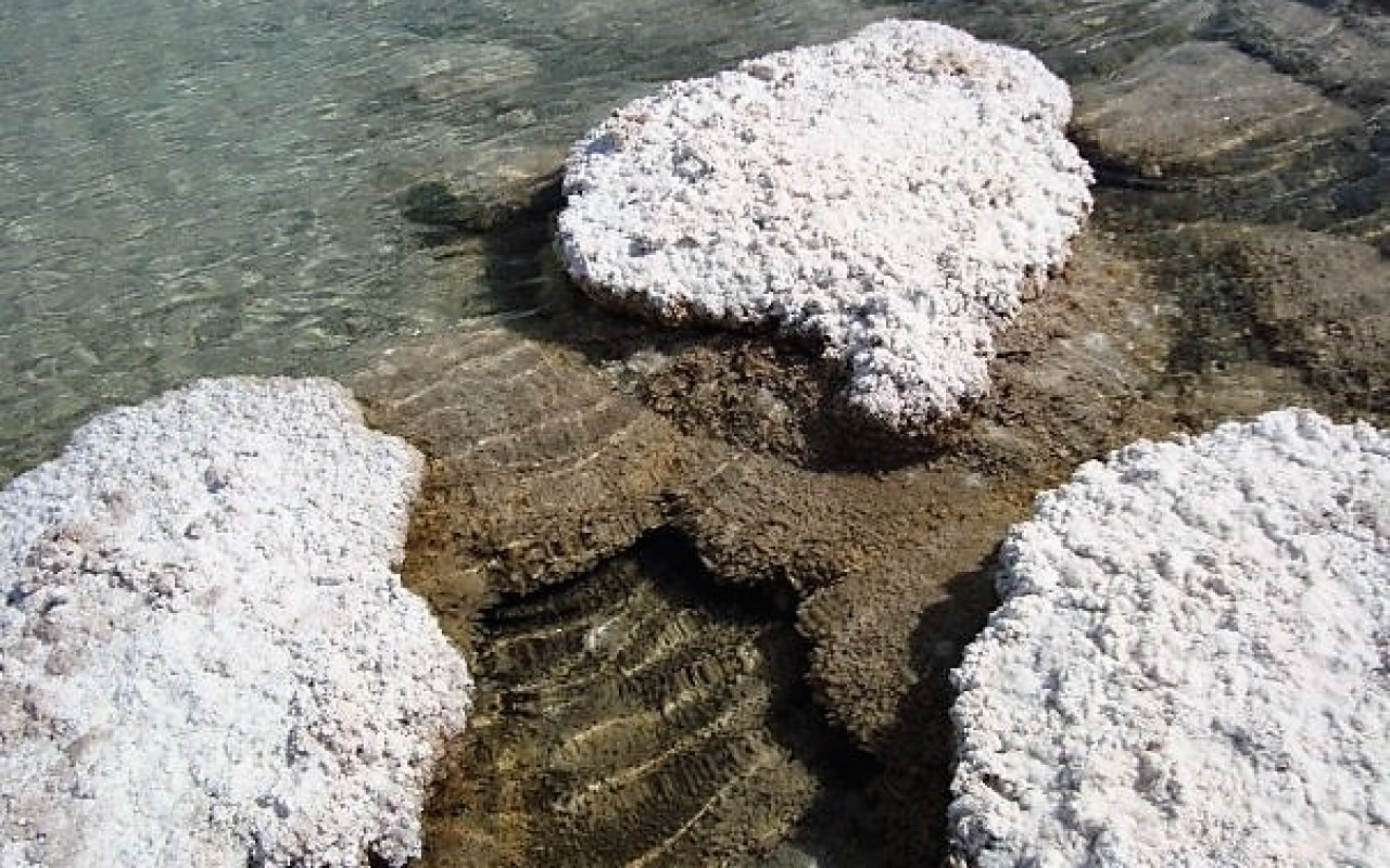 Tour al salar de Llamara, la ex salitrera Victoria y la ruta de la Sal ...
