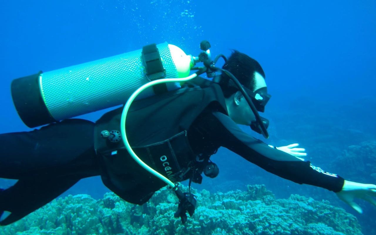 Buceo, ¡Incluye fotos! - Los mejores tours y experiencias en Chile