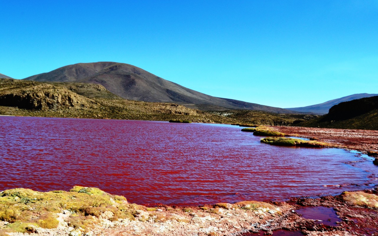 Tour a Laguna Roja - Los mejores tours y experiencias en Chile