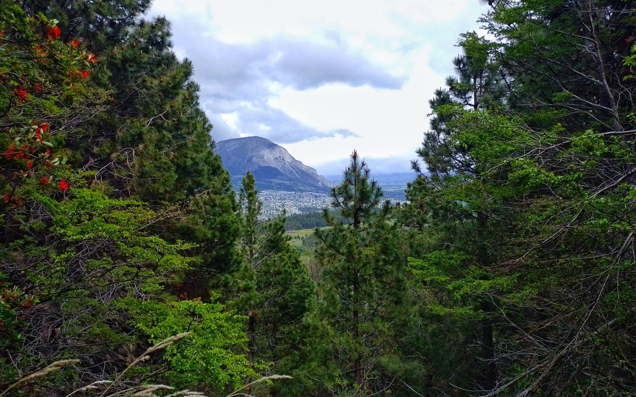 “TODO NATURALEZA” EN RESERVA NACIONAL COYHAIQUE - Patagonia Nostrum