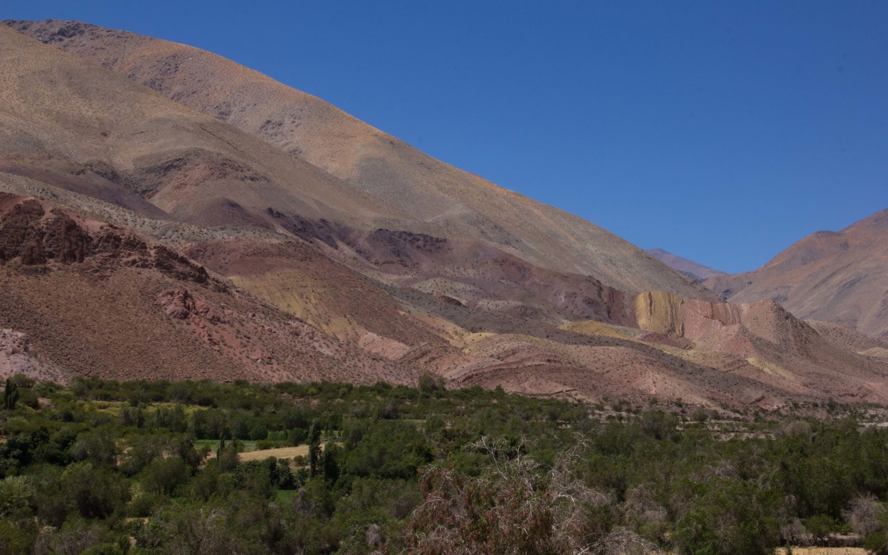 Valle del Huasco - Arte y Astros - Los mejores tours y experiencias en ...